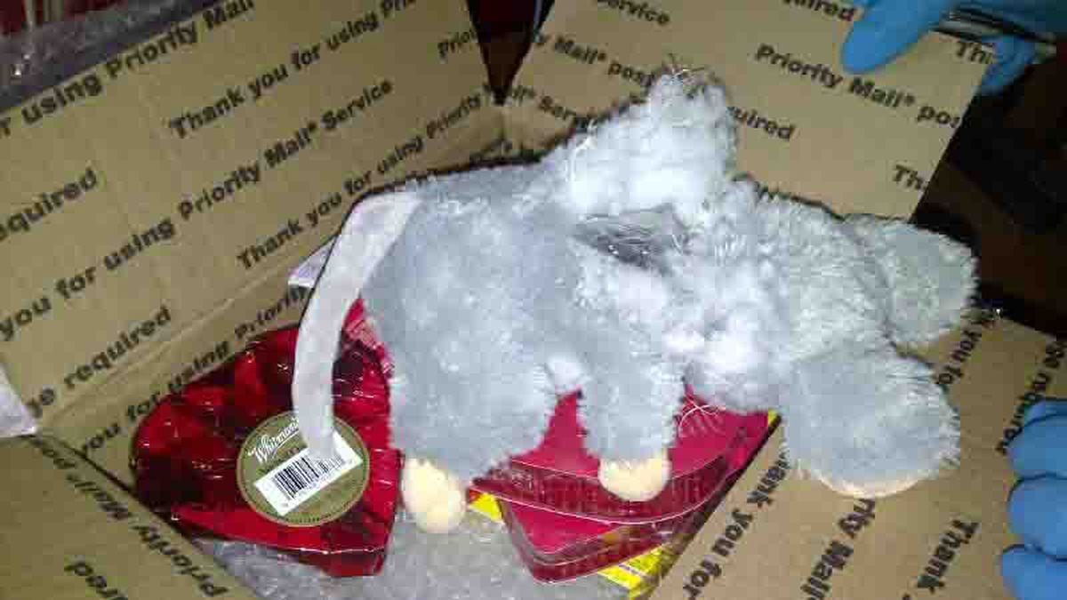 Valentine's Day package contained teddy bear, chocolate...crystal meth?