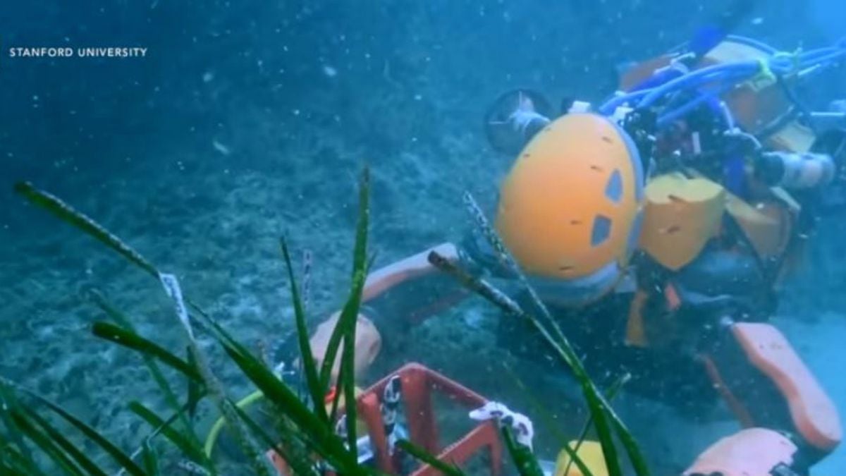 This robot mermaid is the new way to explore oceans