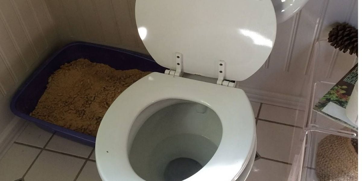 British company creates slanted toilet to curtail long bathroom breaks