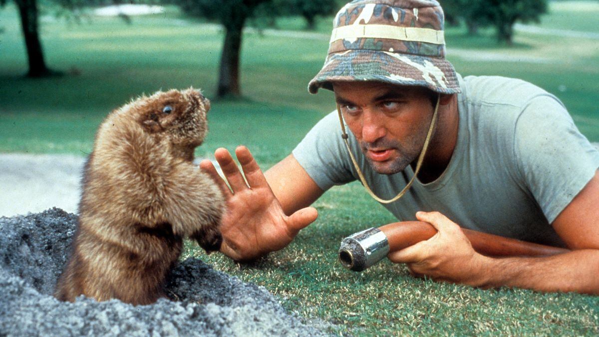 Bill Murray resurrects 'Caddyshack' character in Facebook series